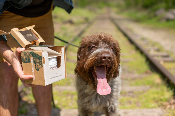 Natural Dog Calming Bites & Treat Tin - Breedwise – Breedwise Pet ...